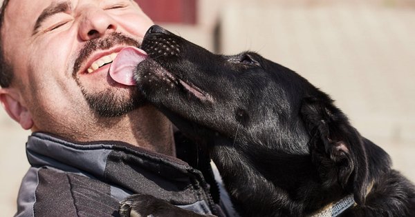 Обійми свою Фіону - ZAXID.NET