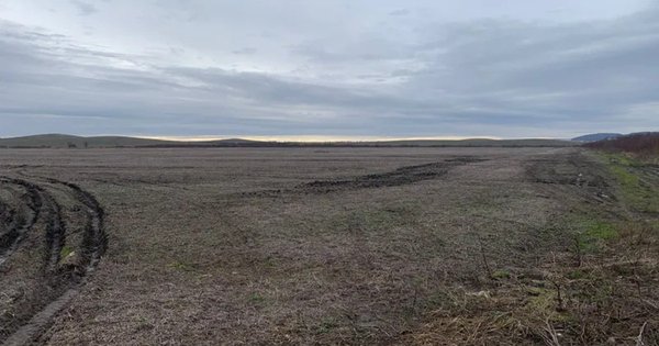 Бізнесмен Олександр Свіщов купує 50 га землі у Ямполі на Львівщині ...