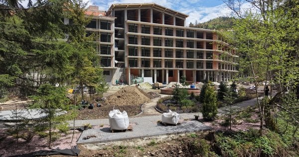 Тисячі нових рослин та ландшафт – основа дизайну: як Green Rest береже ...